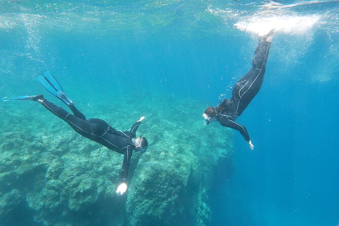 Boat Excursion to Visit Underwater Lava Tongues - Meeting Point and Logistics