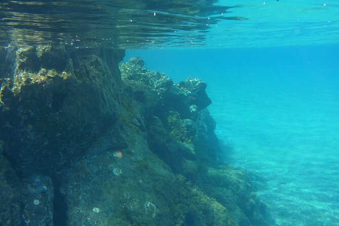 Boat Excursion to Visit Underwater Lava Tongues - Reviews and Traveler Feedback