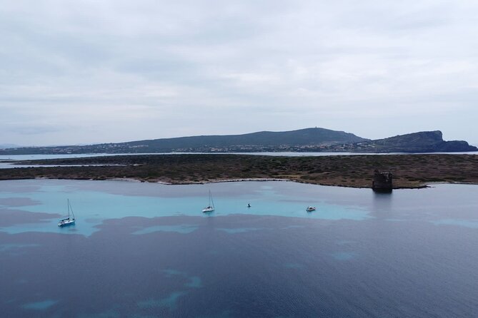 Boat Excursions Asinara Review - Customer Reviews