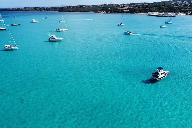 Boat Excursions Asinara Review - Accessibility and Transportation