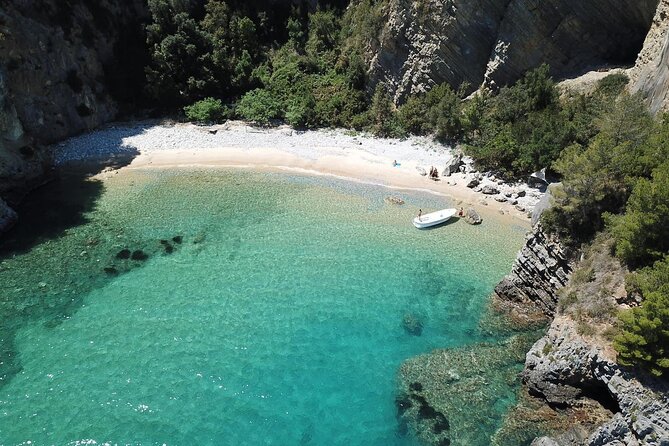 Boat Experience in the Crystal Clear Waters of Cilento - Snorkeling and Marine Life Observations