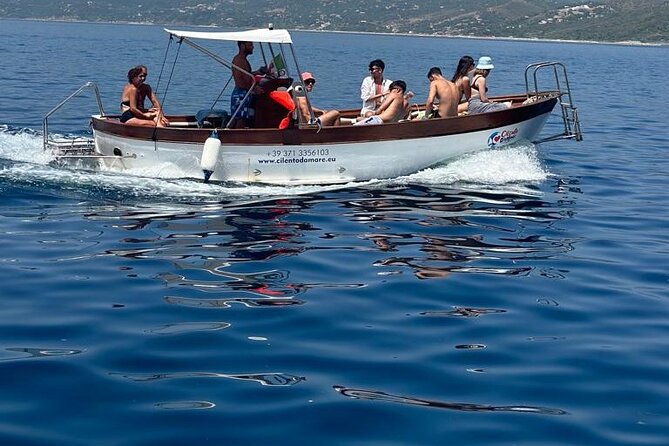Boat Experience in the Crystal Clear Waters of Cilento - Accessibility and Inclusions
