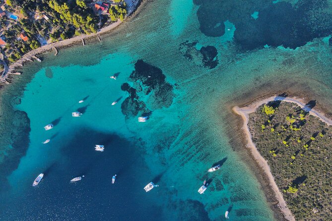 Boat Party Split - Reviews