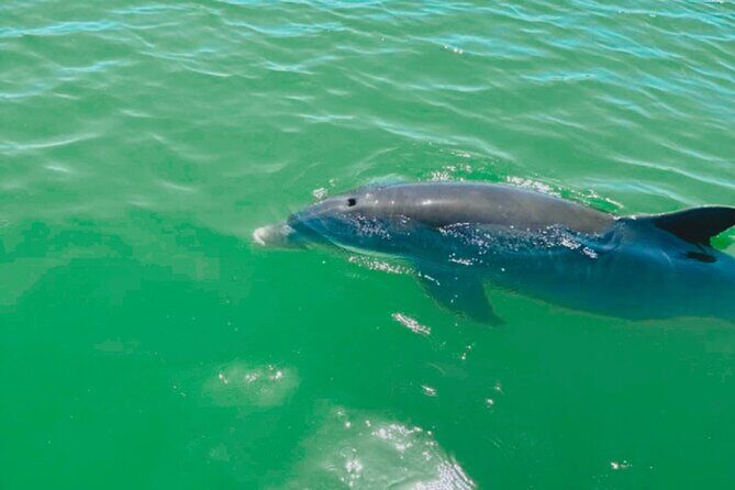Boat Rentals to Shell Key, Treasure Island and St. Pete Beach - Frequently Asked Questions