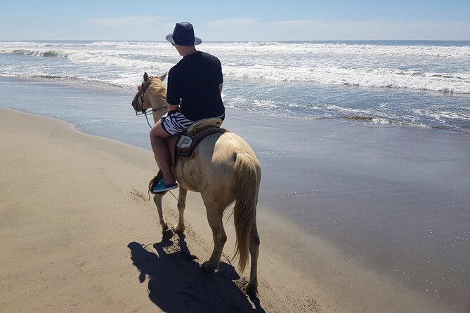 Boat Ride-Gentle Beach Beach Horseback Ride+Lunch-Crocs-Turtles - Exploring the Ultimate Combined Adventure in Acapulco