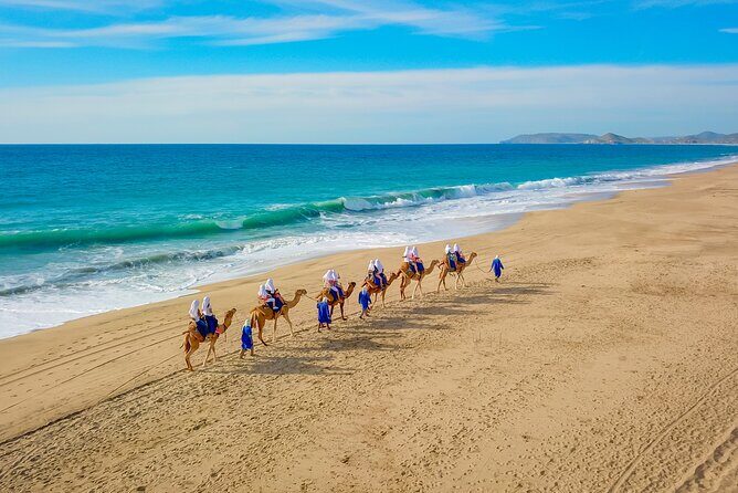Boat Ride to the Arch and Beach Camel Ride in Cabo San Lucas Shared Tour - Key Points