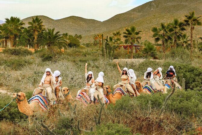 Boat Ride to the Arch and Beach Camel Ride in Cabo San Lucas Shared Tour - What Makes This Tour Valuable?
