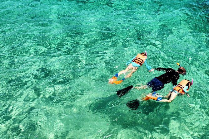Boat ride to the Arch and Snorkel - Introduction to the Cabo Snorkeling and Boat Tour