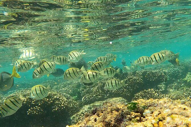 Boat ride to the Arch and Snorkel - FAQs