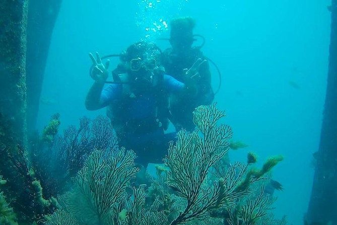 Boat Scuba Diving at Neil Island - The Sum Up