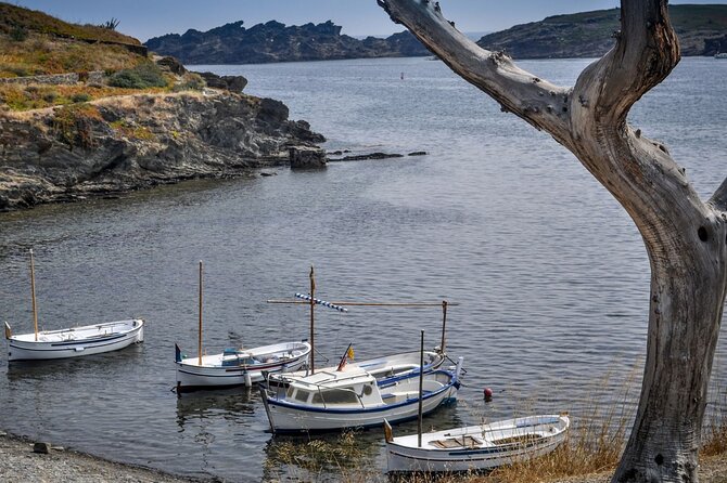Boat through Cap de Creus and Port Lligat visit Cadaqués 1H30 - Final Thoughts: Is This Tour for You?