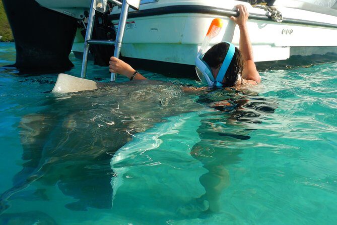 Boat tour 1/2 day Excursion in the lagoon of Moorea - The Value Proposition