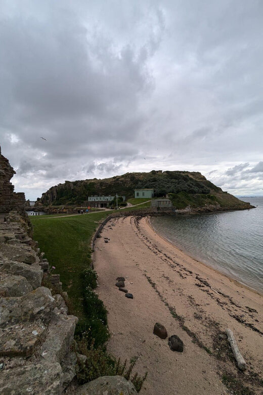 Boat tour and guided tour to Inchcolm Island - Key Points