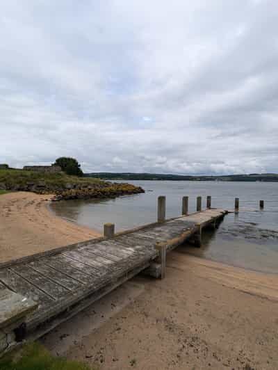 Boat tour and guided tour to Inchcolm Island - Who Will Love This Tour?