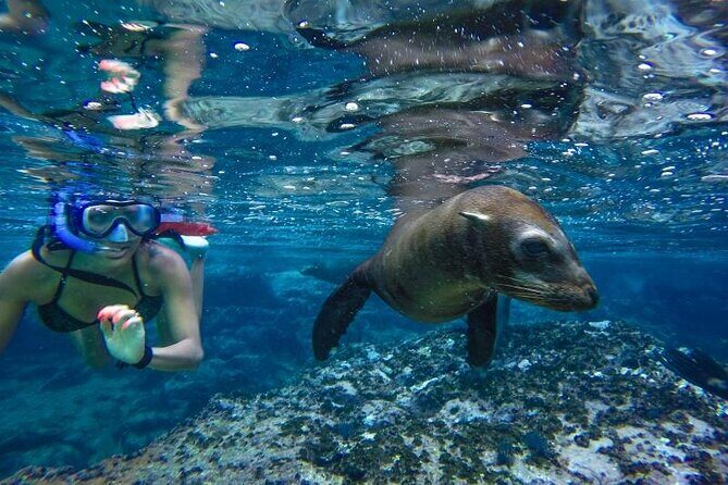 Boat Tour and Snorkel at Pelican Rock - Exploring the Itinerary: What You Can Expect