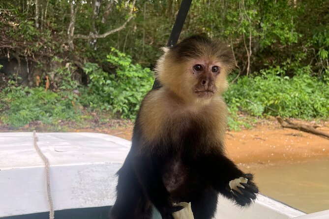 Boat Tour and Wildlife on the Gatun Lake - Customer Feedback and Ratings