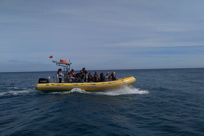 Boat Tour - Arrábida Coves - Highlights of the Tour
