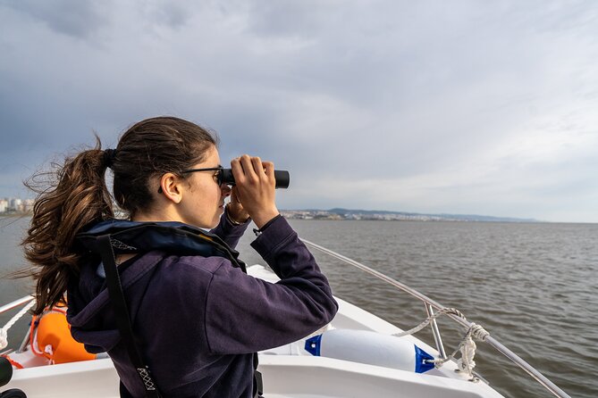 Boat Tour - Bird Observation in the Tejo Nature Reserve - Meet Your Guide: Carlos