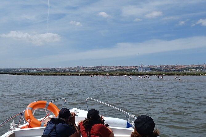 Boat Tour - Bird Observation in the Tejo Nature Reserve - Participant Experience and Feedback