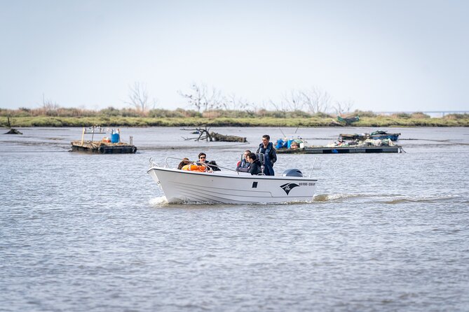 Boat Tour - Bird Observation in the Tejo Nature Reserve - Since You Asked