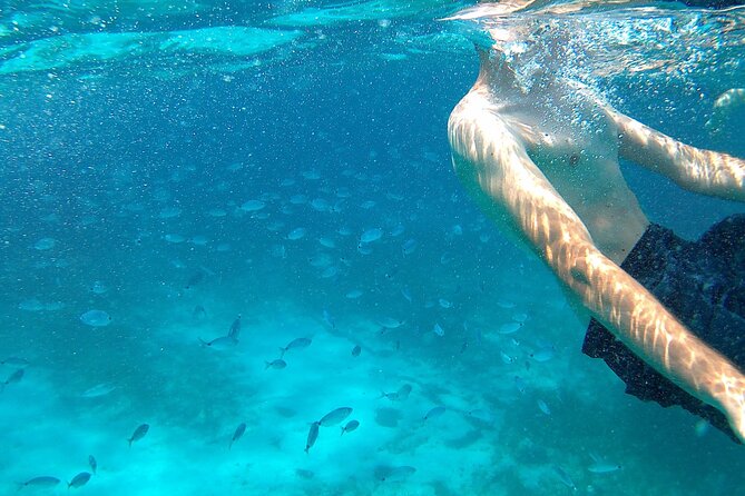 Boat Tour Excursion From Trapani to Favignana and Levanzo 8 Hours - Pricing and Cancellation