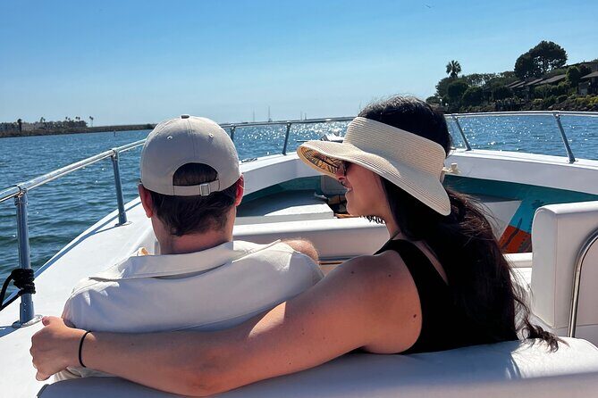 Boat Tour Experience Sea Life Up Close - The Sum Up