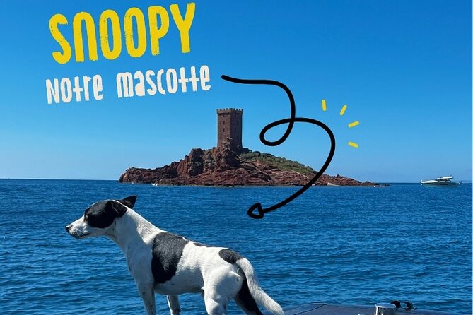 Boat Tour From Fréjus - Estérel Calanques - 2h30 - Customer Experiences and Feedback