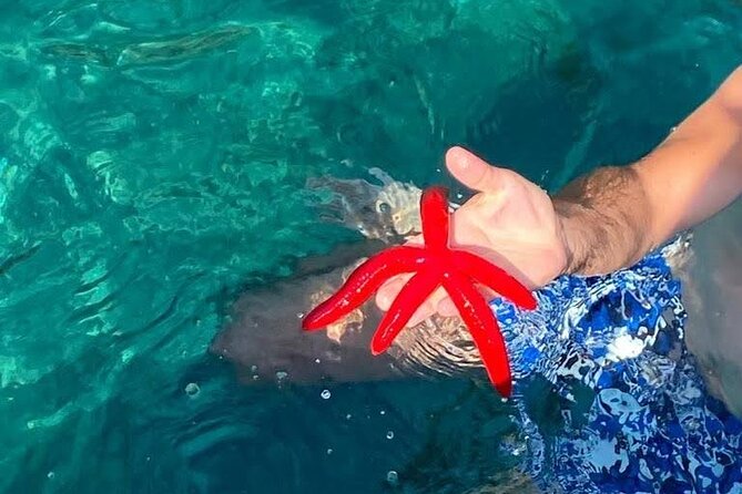 Boat tour Giardini Naxos Taormina Isola Bella Blue Grotto - The Sum Up: Who Is This Tour Best For?