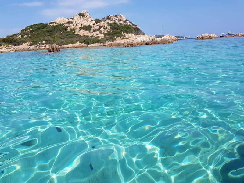Boat Tour in La Maddalena National Park - The Sum Up