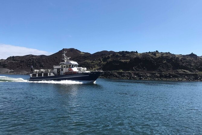 Boat Tour in Vestmannaeyjar - Stunning Landscapes