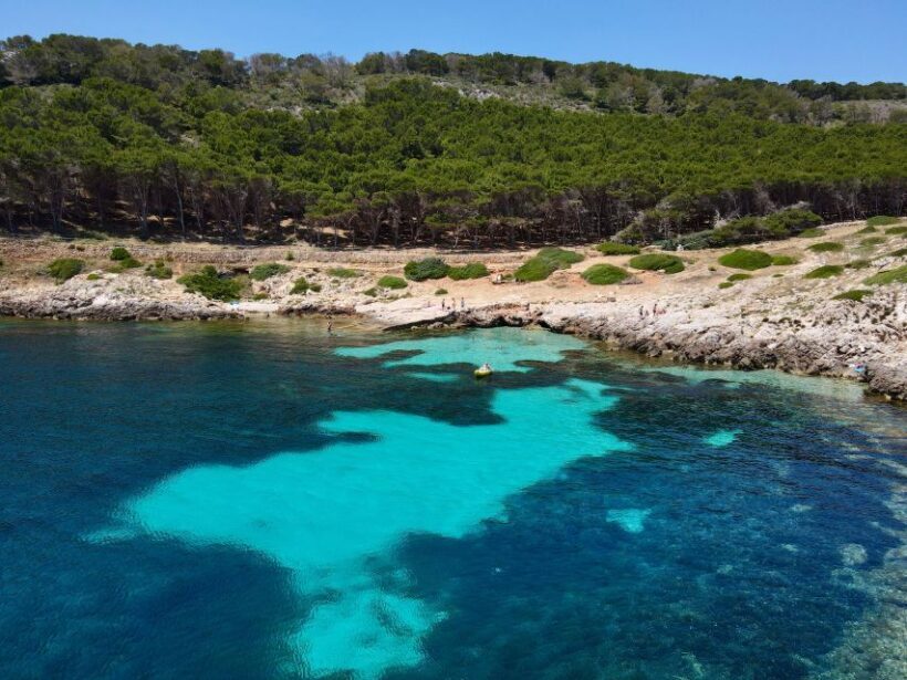 Boat tour of Favignana and Levanzo from Trapani - Key Points