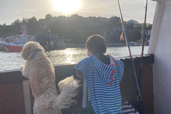 Boat Tour of Kinsale Harbour and Bandon River - Accessibility and Transportation