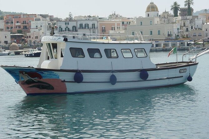 Boat tour of the island of Ischia with lunch and bath - The Sum Up