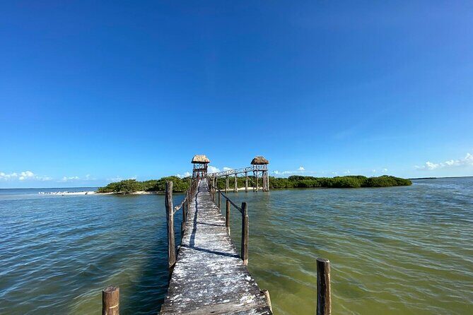 Boat Tour of Three Islands in Holbox with Transportation - An In-Depth Look at the Tour