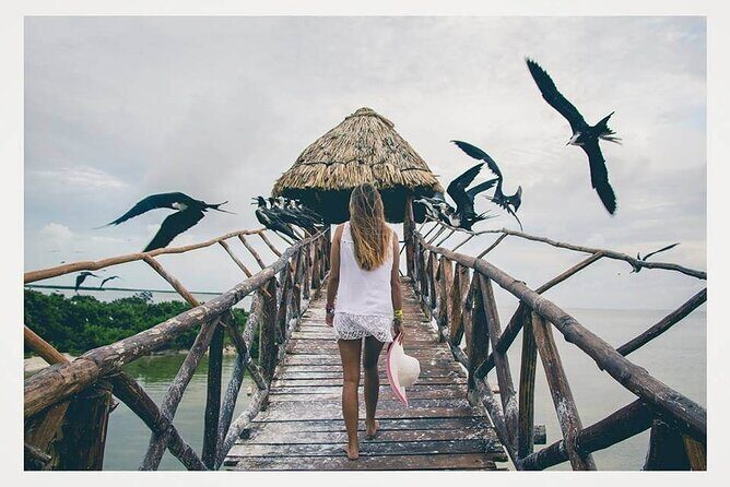 Boat Tour of Three Islands in Holbox with Transportation - Final Thoughts: Is It Worth It?