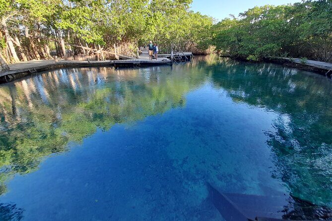 Boat Tour of Three Islands in Holbox with Transportation - FAQ