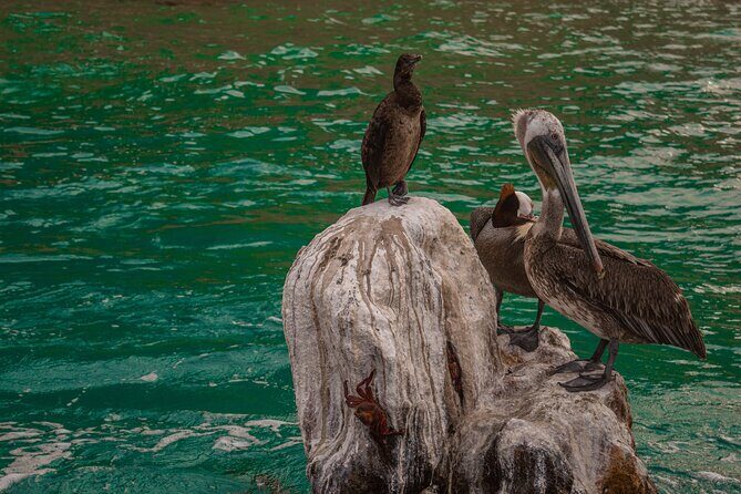 Boat Tour Snorkeling Tour with Guide, Drinks and Fruit - Final Thoughts: Is It Worth It?