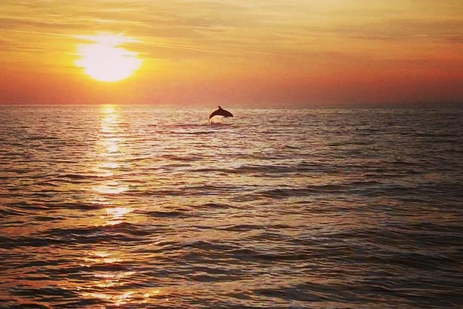 Boat Tour Swimming Snorkeling South Istria Kamenjak Premantura - Tour Activities and Amenities