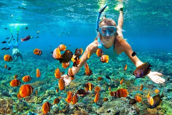 Boat Tour to Bibijagua Beach from Punta Cana - What Makes This Tour Stand Out