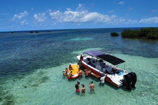 Boat Tour with Lunch in the Water in Guadeloupe Lagoon - Mangrove Exploration: An Aquatic Forest