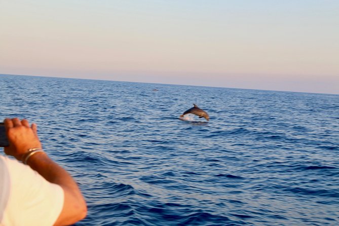 Boat Tours 5 Terre - Customer Experiences and Feedback