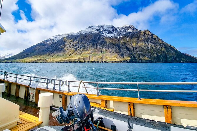 Boat Tours from Siglufjörður - Why This Tour Is Worth Considering