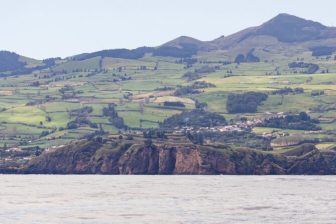 Boat Trip along the North Coast in Capelas - What’s Included and What to Keep in Mind