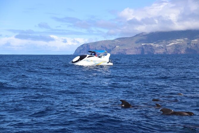 Boat Trip Along the Northwest Coast of La Palma - Pricing and Booking Details