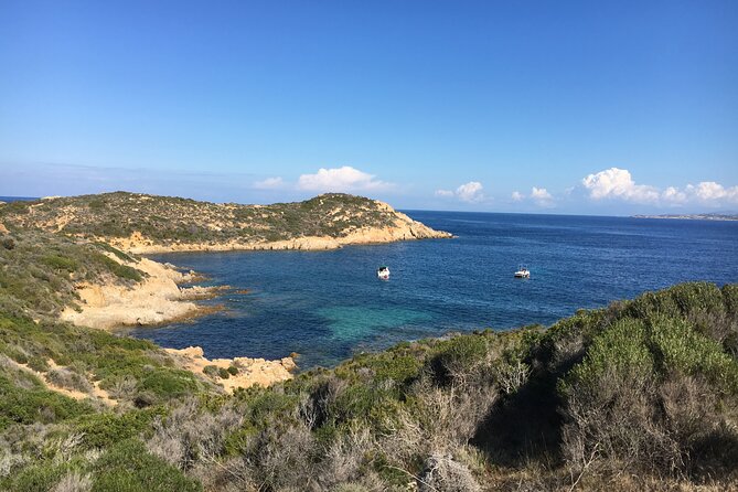 Boat Trip and Snorkeling in the Gulf of Calvi - Snorkeling Locations and Conditions