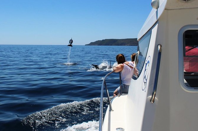 Boat Trip for Dolphin Watching Along the Arrabida Coast and Sesimbra - Reviews and Recommendations