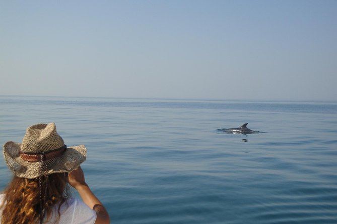 Boat Trip for Dolphin Watching Along the Arrabida Coast and Sesimbra - Accessibility and Participation