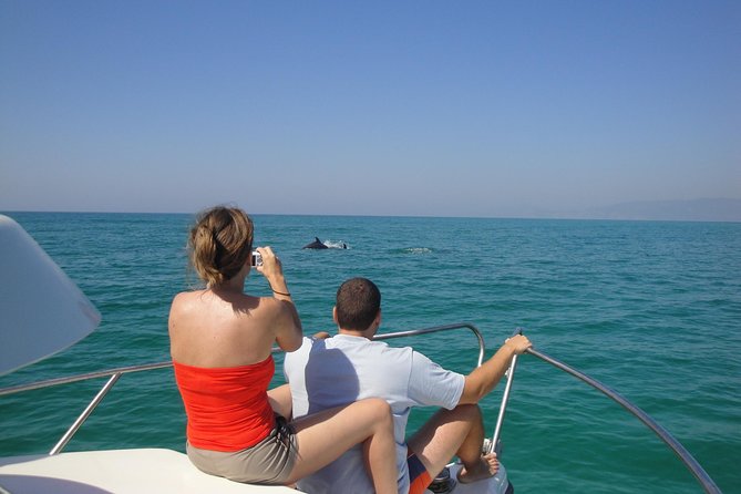 Boat Trip for Dolphin Watching Along the Arrabida Coast and Sesimbra - Meeting Point and Start Time