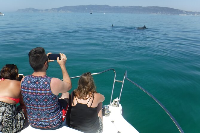 Boat Trip for Dolphin Watching Along the Arrabida Coast and Sesimbra - Arrabida Coast and Sesimbra
