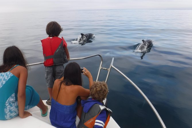Boat Trip for Dolphin Watching Along the Arrabida Coast and Sesimbra - Frequently Asked Questions